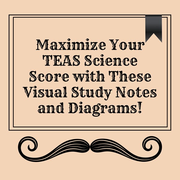 Teas Test Study Guide - Etsy