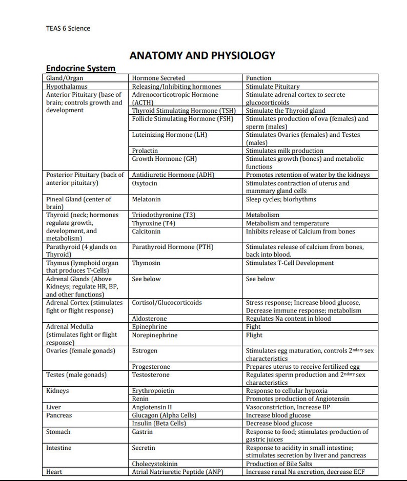 TEAS Science: Anatomy and Physiology Notes You Need for Exam - Etsy