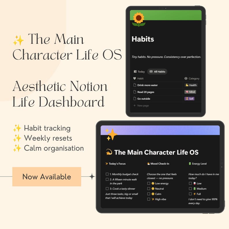 Notion Life Dashboard, Habit Tracker, Money Planner (digital Download ...