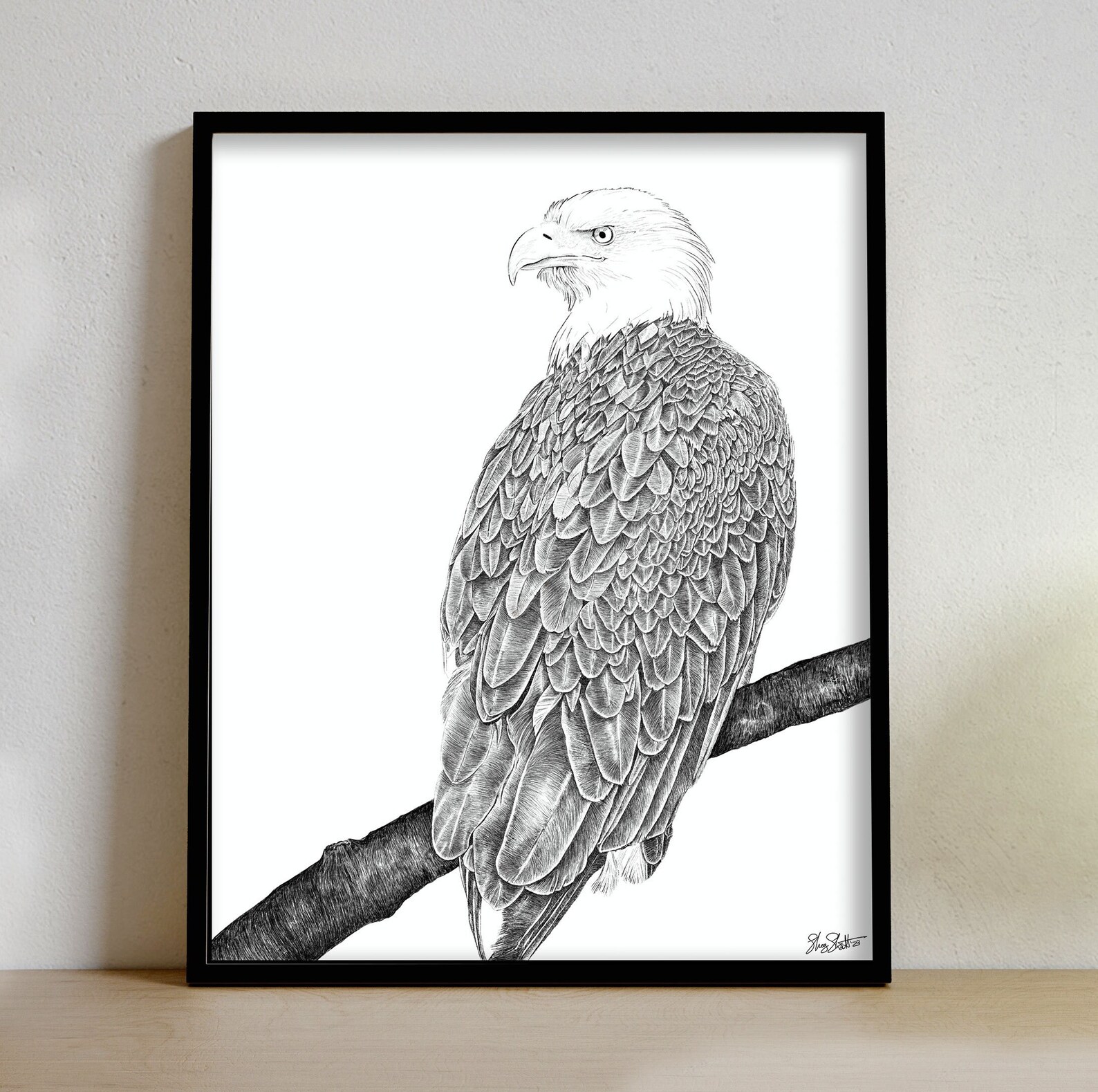 Bald Eagle Pencil Drawing Digital Download Animal Art - Etsy
