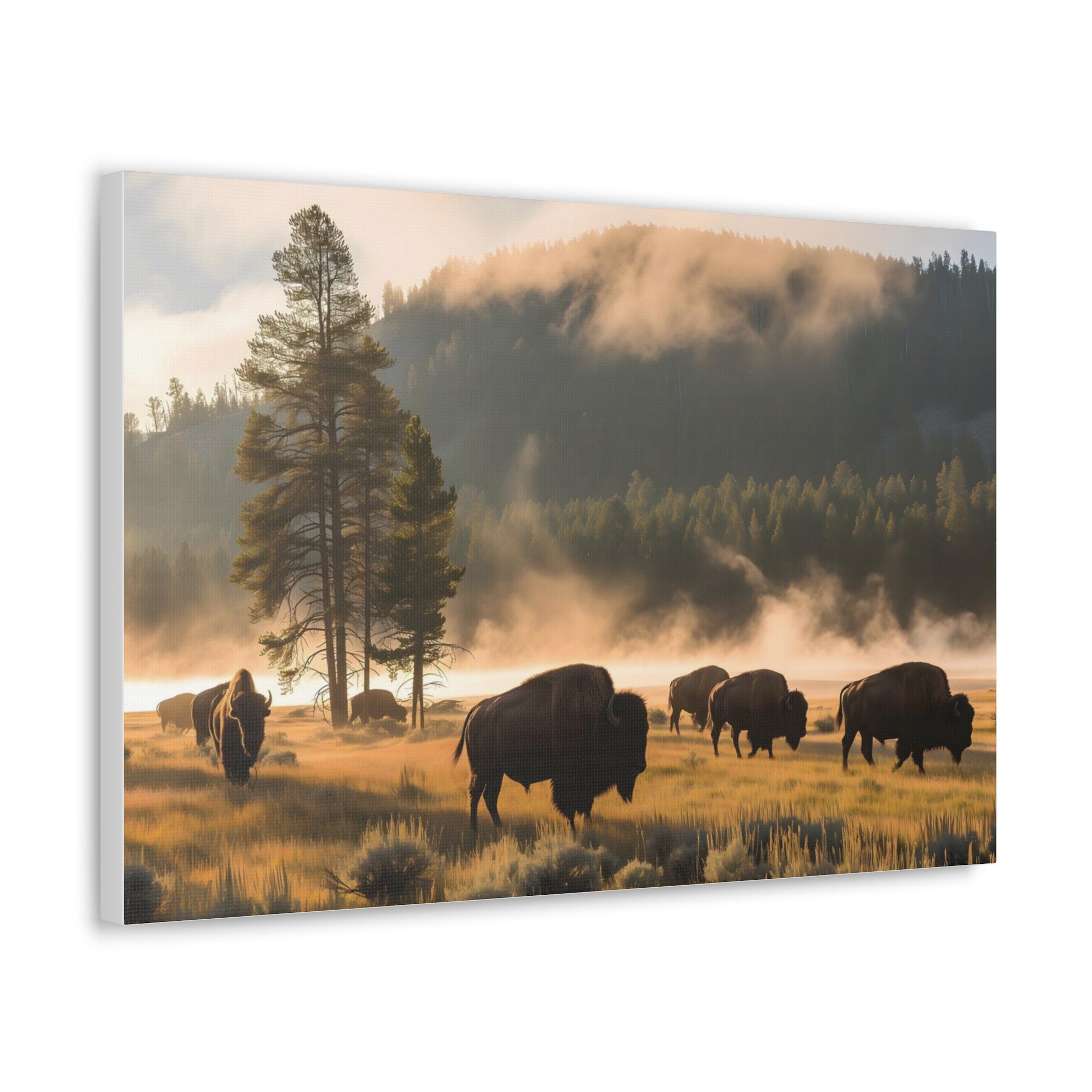 Bison Yellowstone Canvas Gallery Wraps Buffalo Canvas, Nature ...