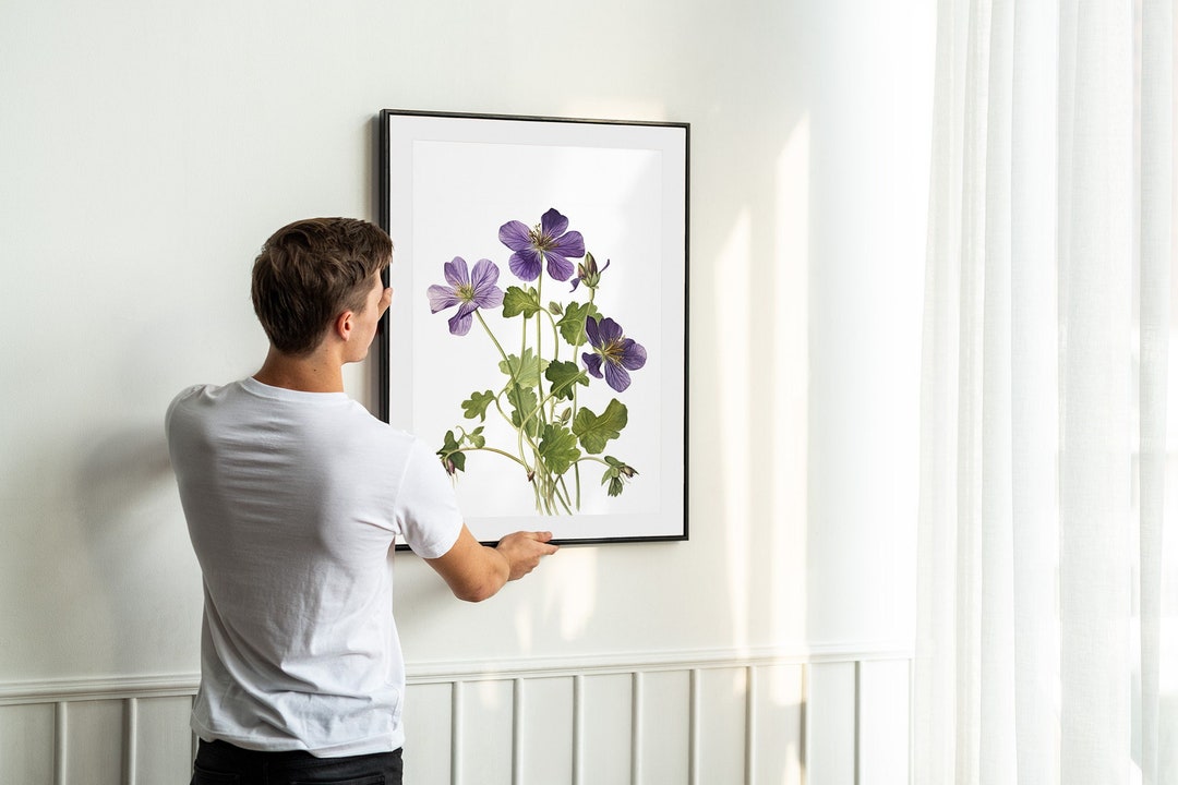 February Birth Month Flower - Violet - Vintage Floral Botanical ...