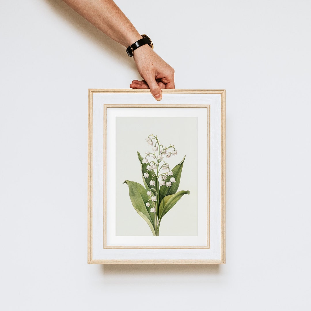 May Birth Month Flower - Lily of the Valley - Vintage Floral Botanical ...