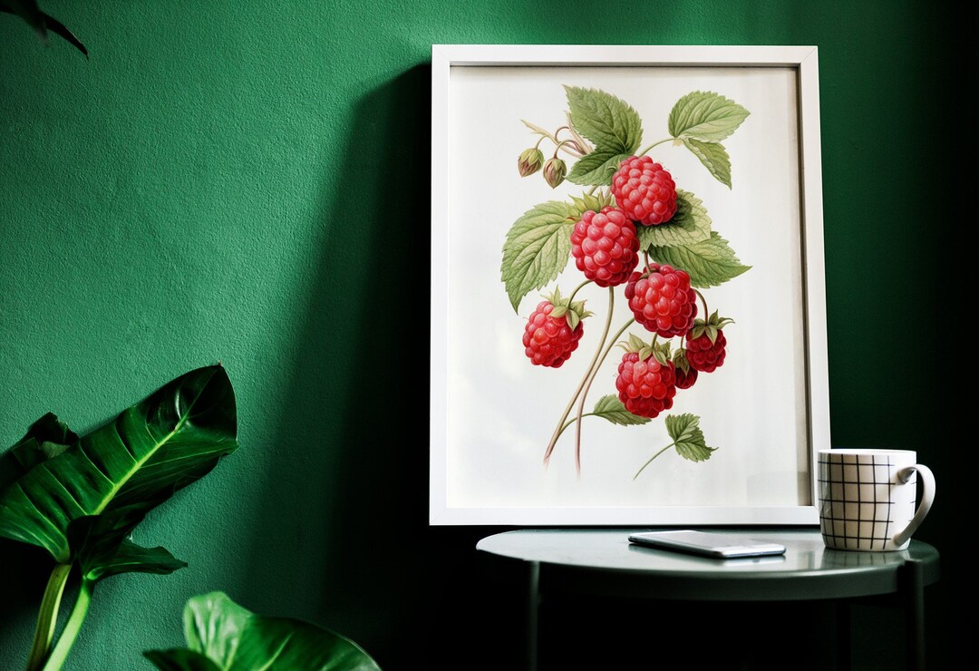 Raspberries on the Vine - Vintage Botanical Illustration - Printable ...