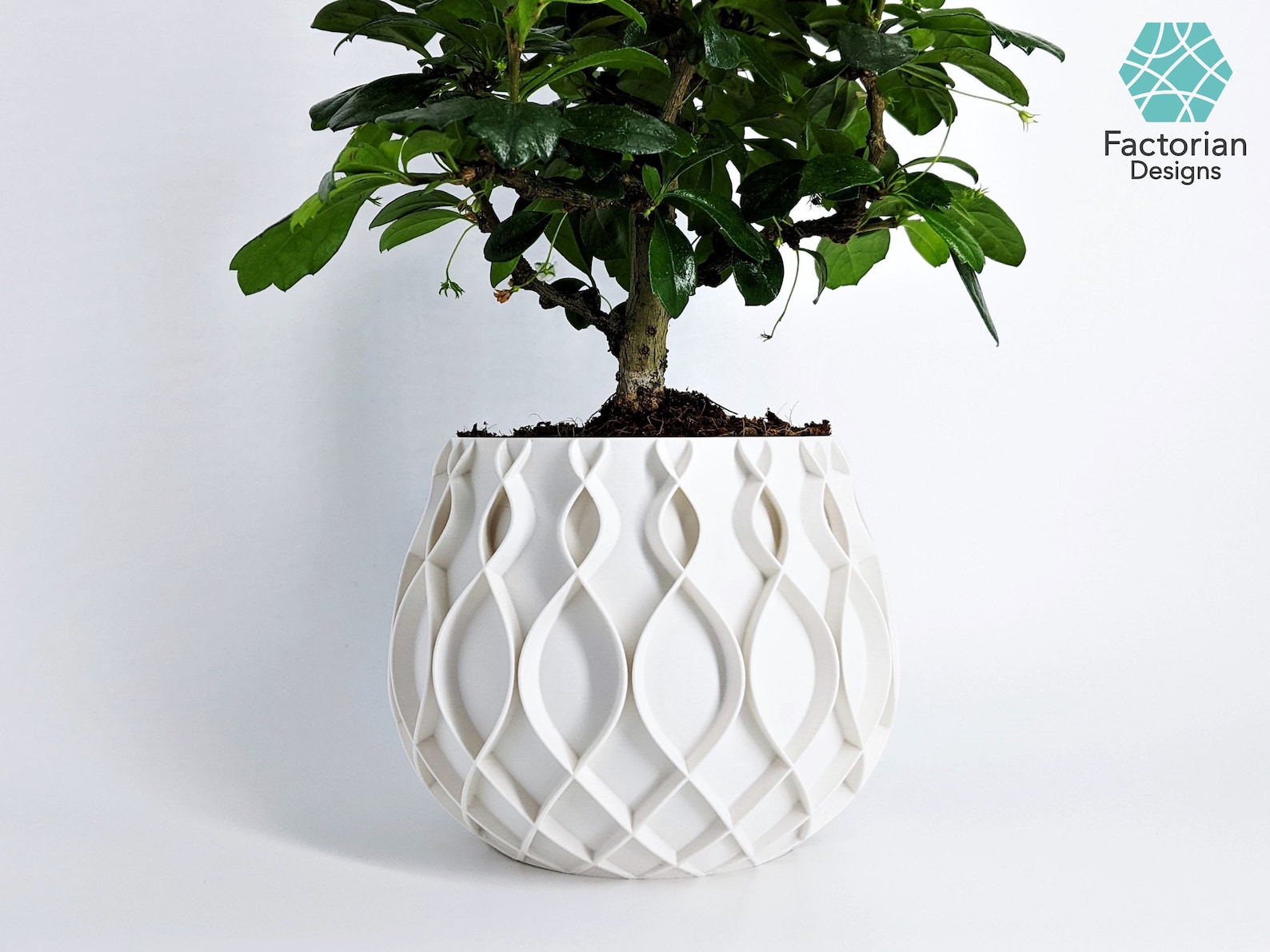 Plant Pot STL 3D Print File Model bellvere for Planters and Big Plant ...