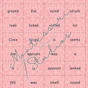 Montessori Grammar Boxes - Verbs, Language, Parts of Speech - Etsy