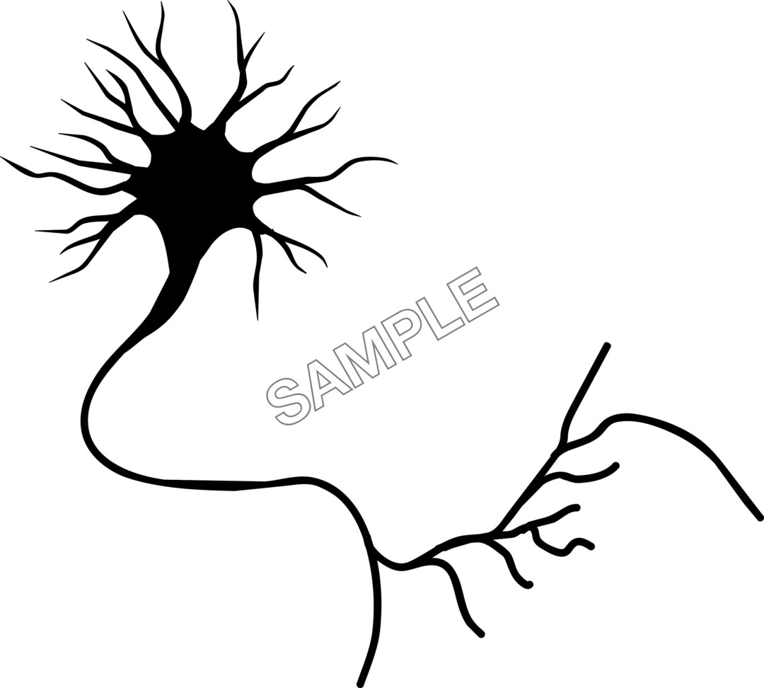 Neuron Brain Cell SVG Scientific Diagram - Etsy