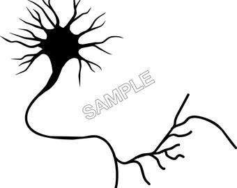 3D Cuttout Human Cell SVG Scientific Diagram SVG Microbiology SVG File ...