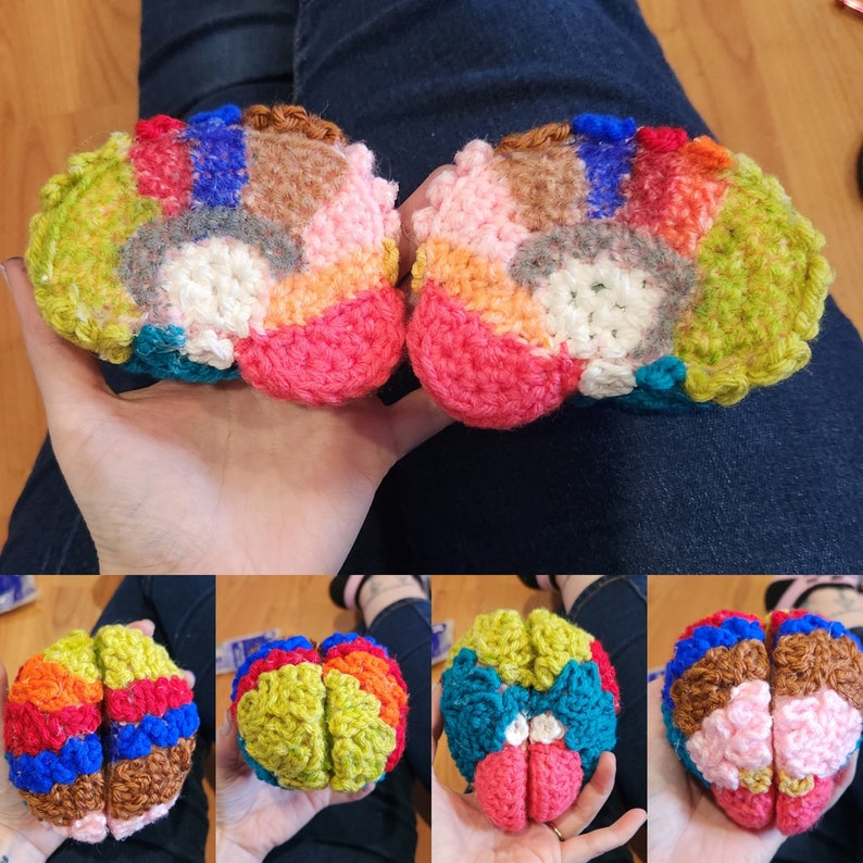 Crocheted Scientific Brain Model (PATTERN ONLY) - Etsy
