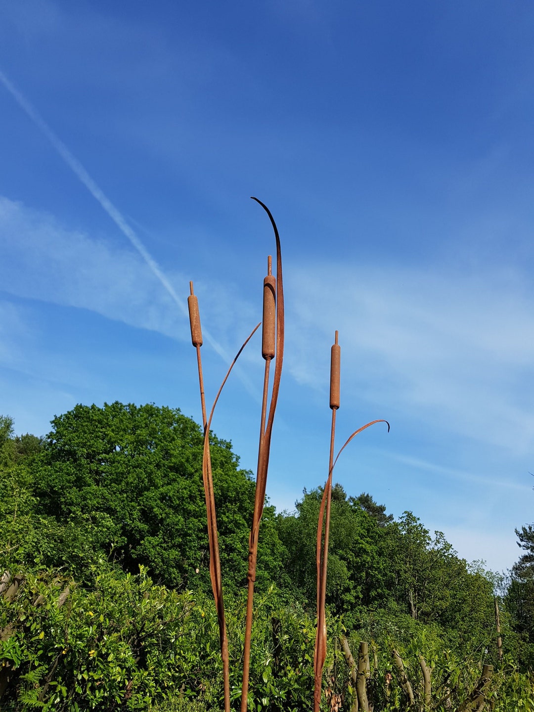 Hand Forged Bulrushes, Blacksmith Made | Zen Garden Ornament ...