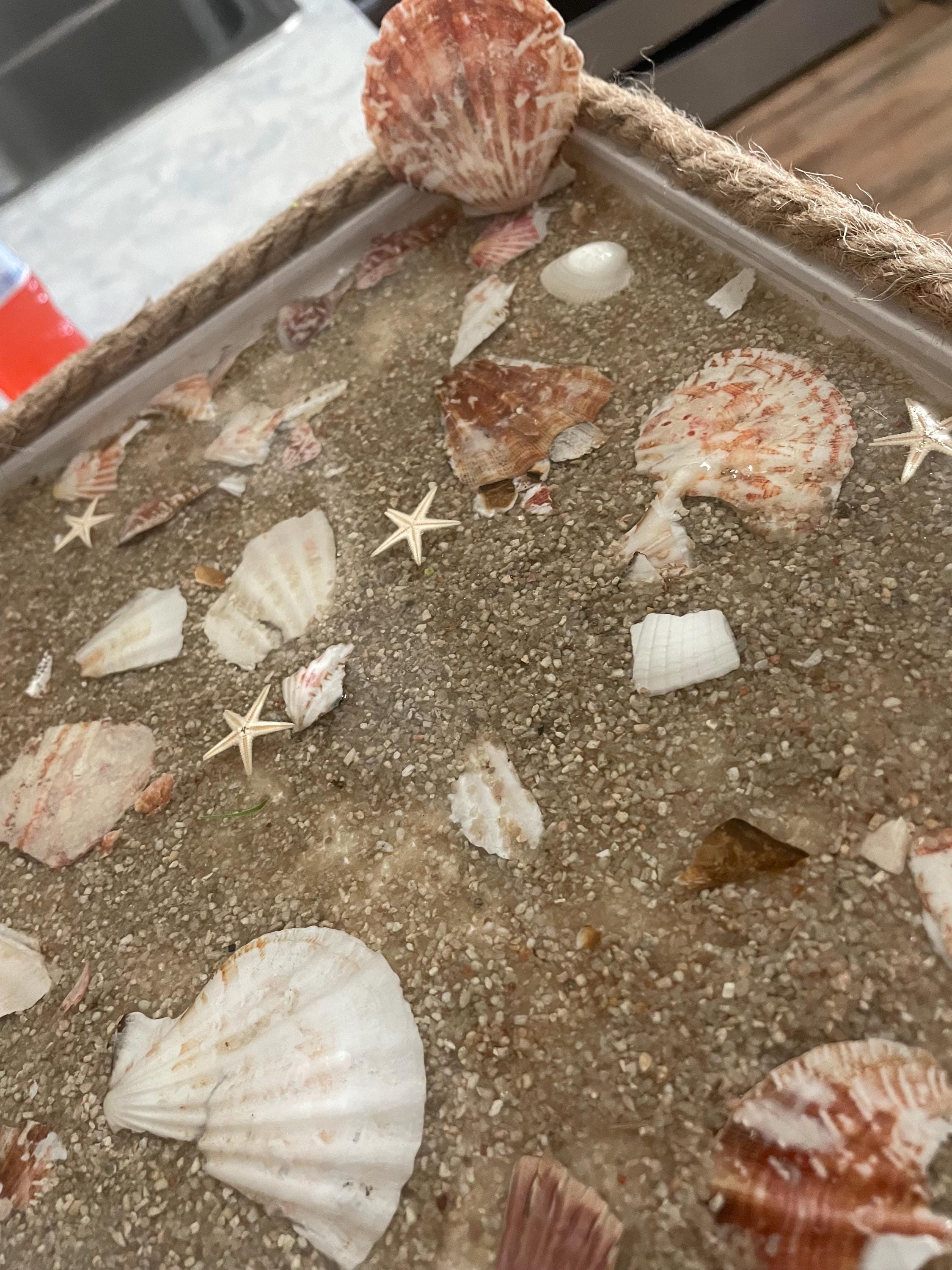 Seashell Sand Coastal Beach Starfish Shell Coffee End Side Table Epoxy ...