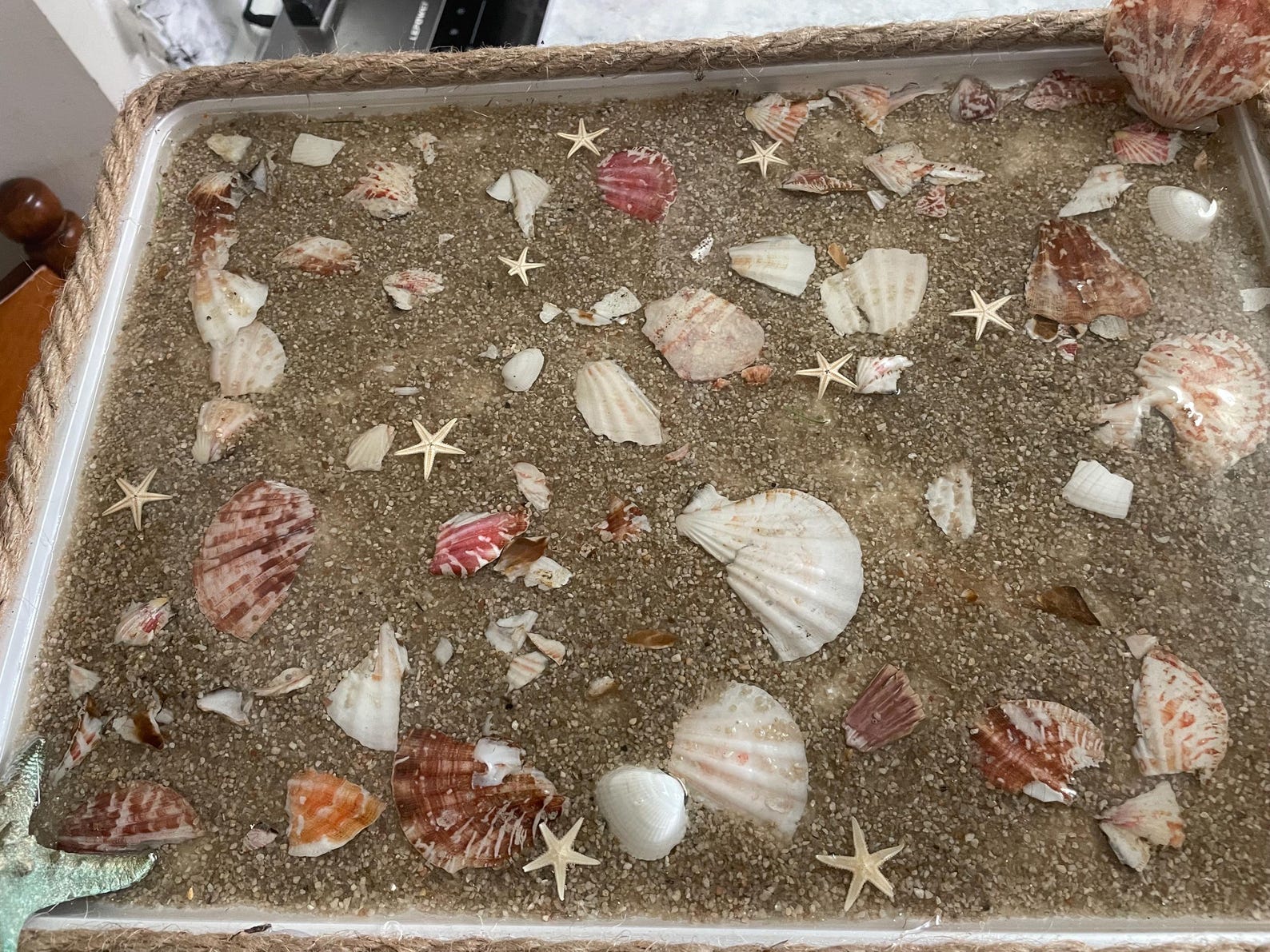 Seashell Sand Coastal Beach Starfish Shell Coffee End Side Table Epoxy ...