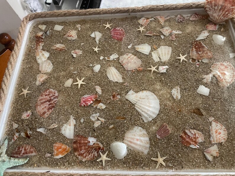 Seashell Sand Coastal Beach Starfish Shell Coffee End Side Table Epoxy ...