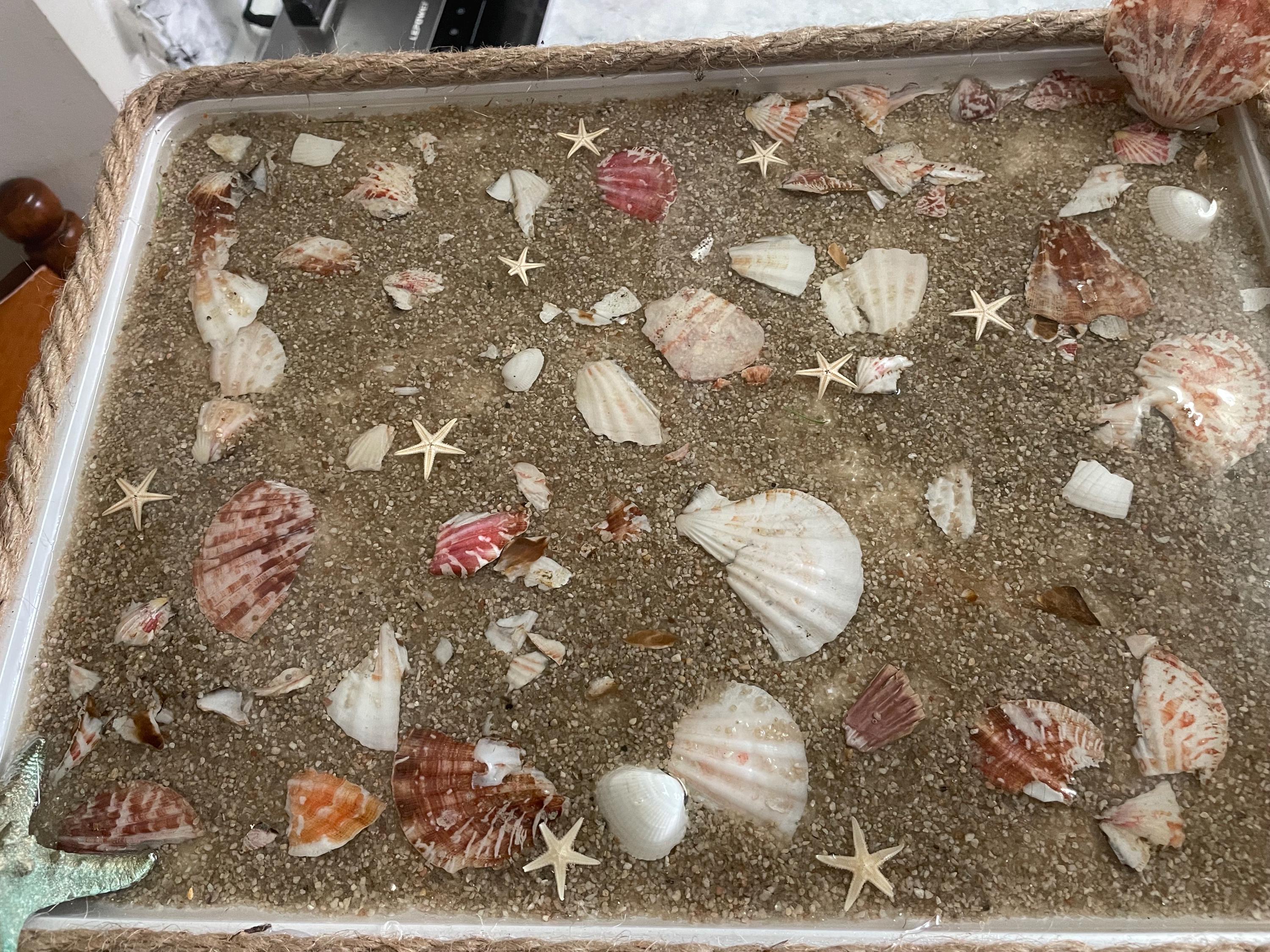 Seashell Sand Coastal Beach Starfish Shell Coffee End Side Table Epoxy ...