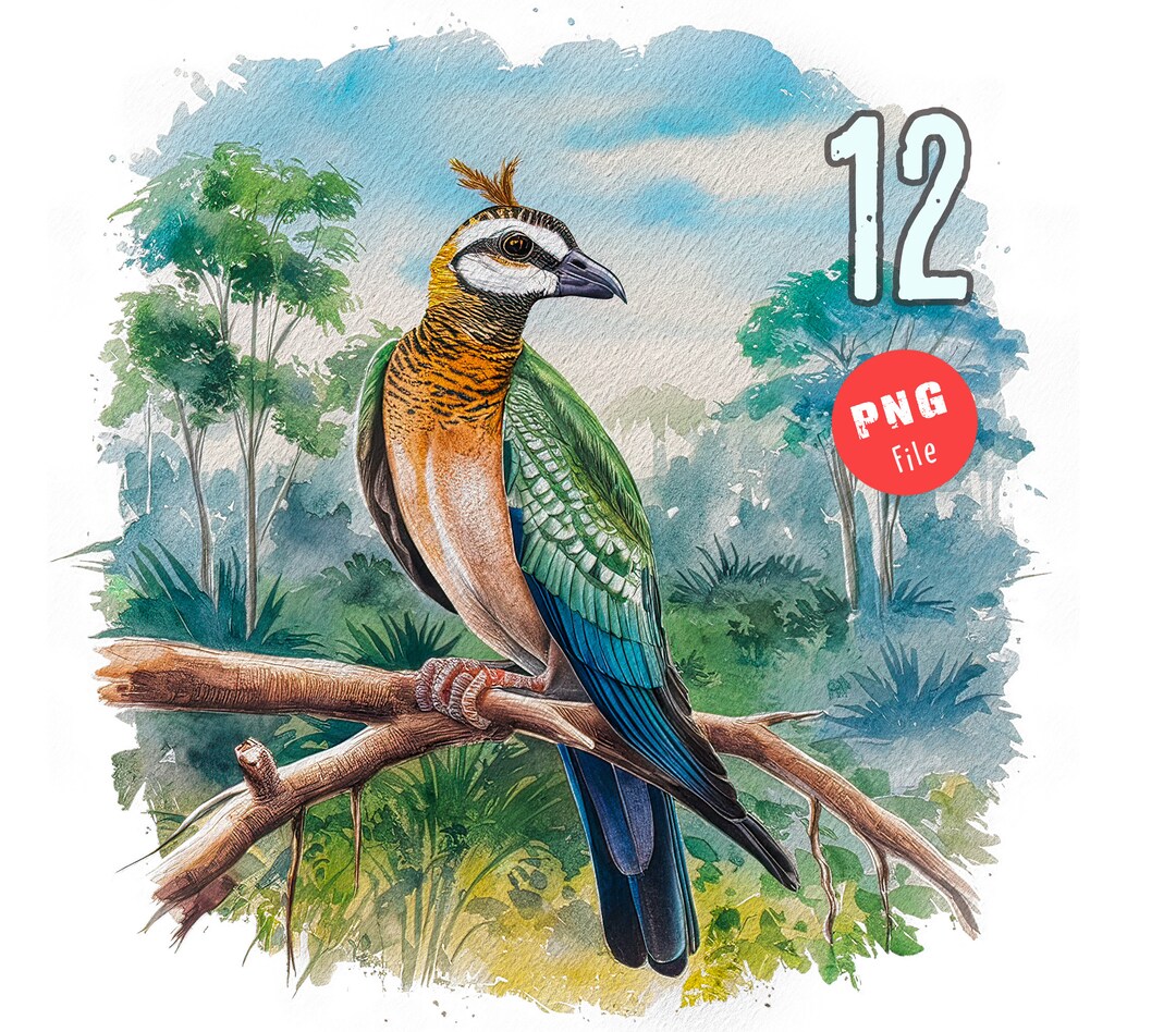 Watercolor Wild Bird Bird Clipart Printable Clipart Transparent ...