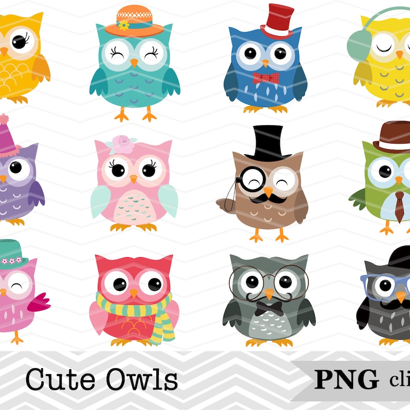 Cute Owl Clip Art - Etsy
