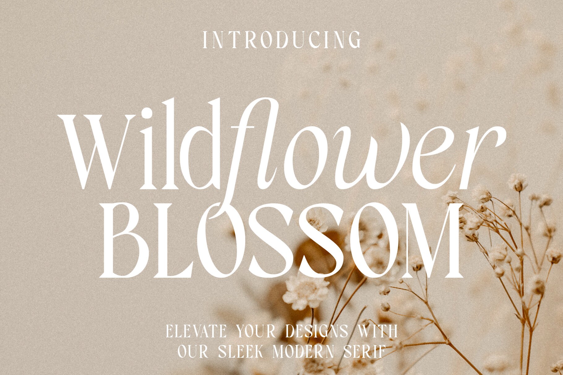 Wildflower Blossom Retro Serif Font, Elegant Font, Canva Font, Modern ...