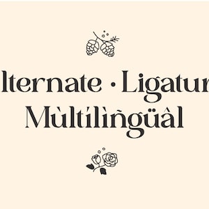 Jitter - Retro Serif Font, Elegant Font, Canva Font, Modern Font, Boho Font, Logo Font, Groovy ...