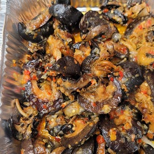 Peppered Snails/igbin Alatasuesue/snails - Etsy