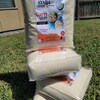 HONEY BEANS / Oloyin Beans From Nigeria - 5lbs - Etsy Canada