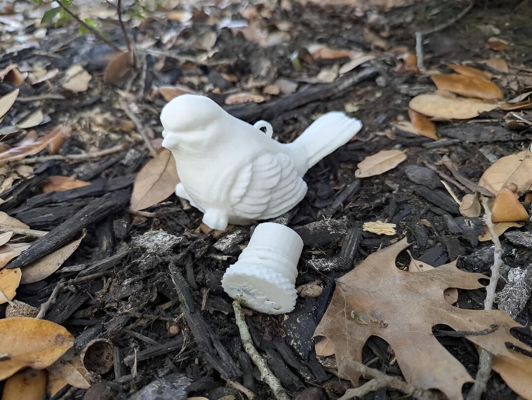 Bird Geocache Container | Geocaching Hide | Key Hide | Hidden Key ...