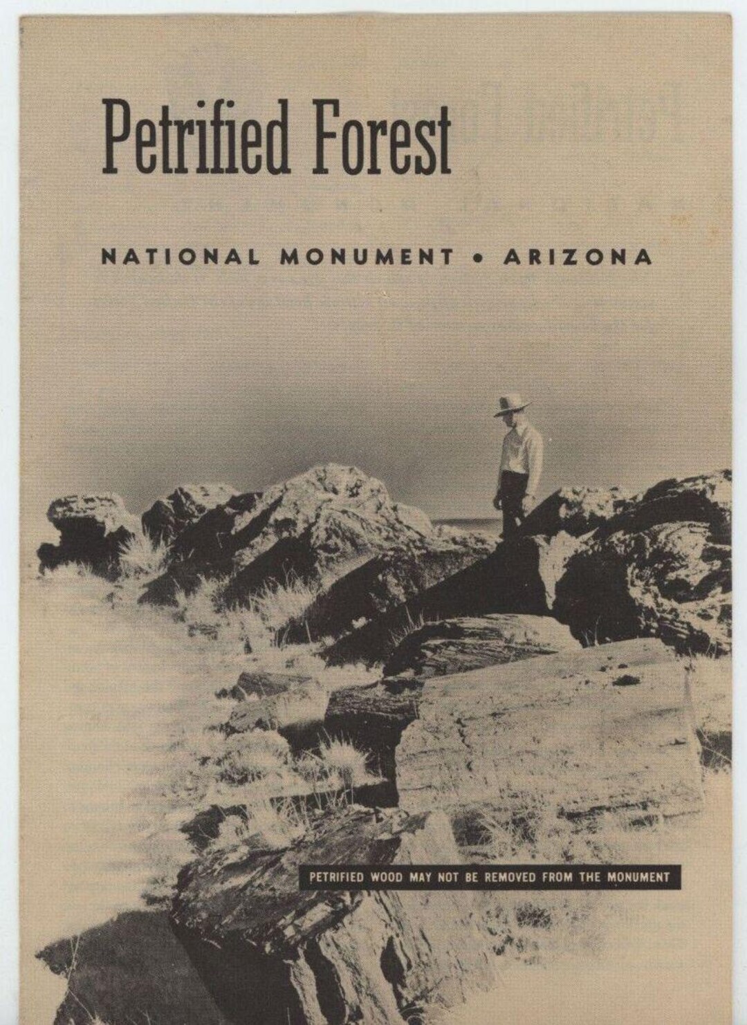 1955 Petrified Forest National Monument Arizona Tourist Travel Pamphlet ...
