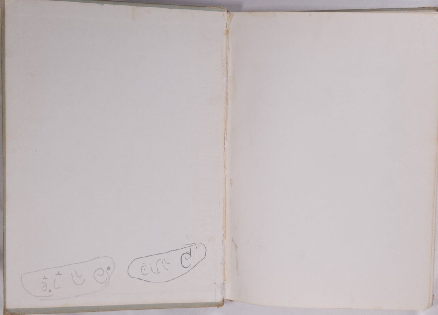 1969 the Language of Israel Hebrew Children's Book History - Etsy