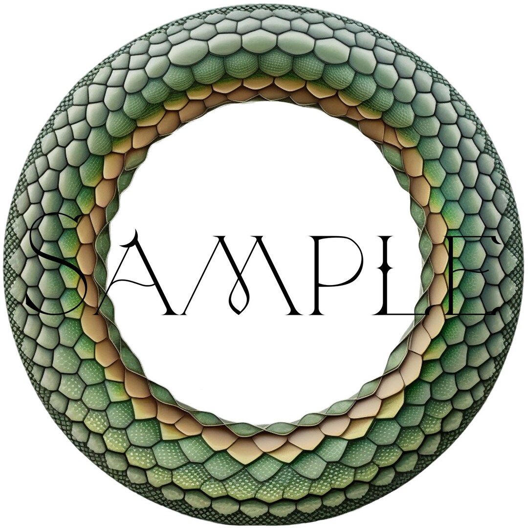 VTT Token Frames/token Dragon Scales - Etsy