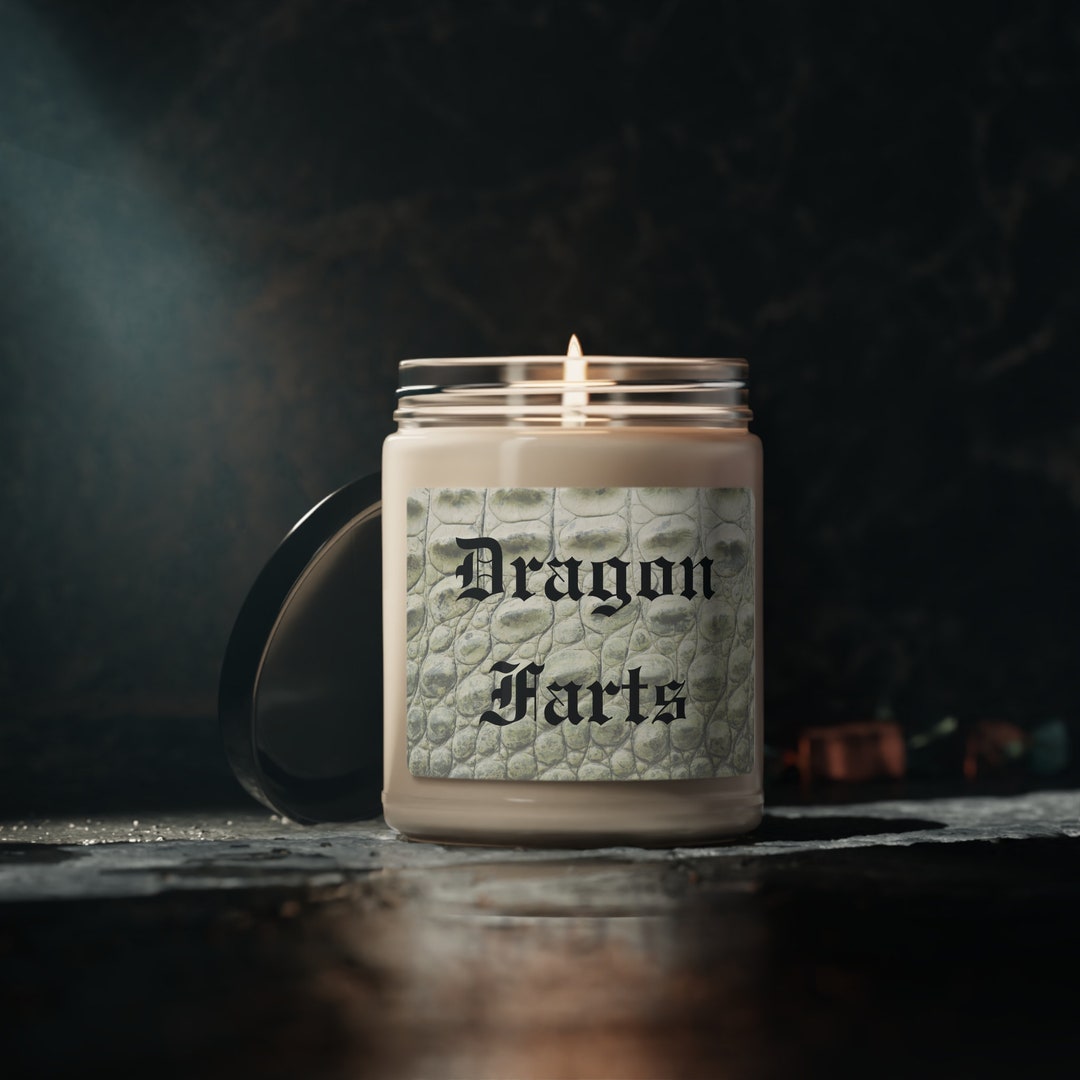 Best Dragon Farts, Funny Candle, Soy Scented Candle, Great Gift, D & G ...