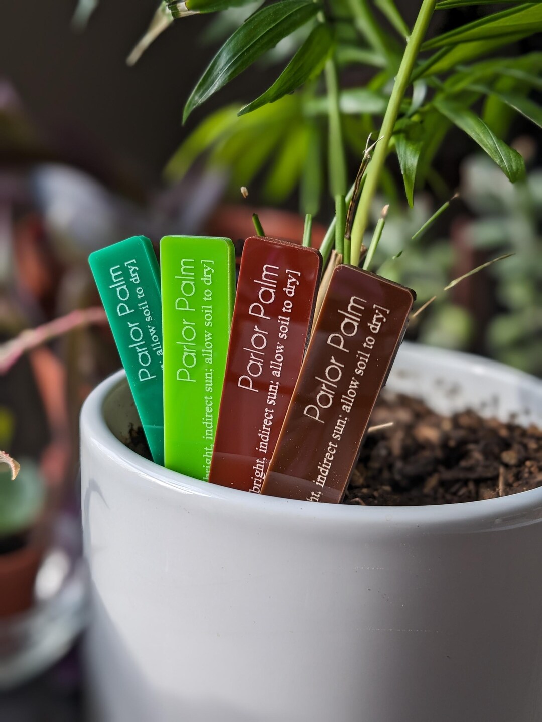 Custom Acrylic Plant Name Stakes – Perfect for Indoor Plant Lovers! - Etsy