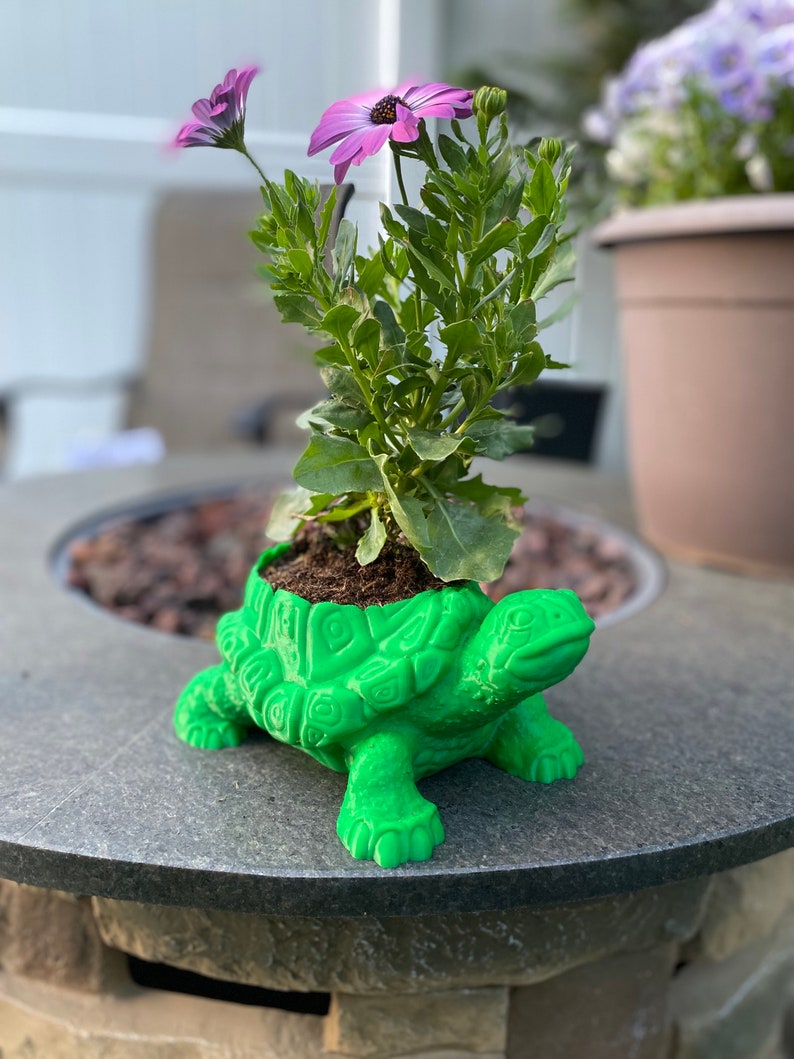 A 3D Printed Turtle Planter - Etsy