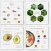 Nutrition Facts Instagram Post Templates: Canva Social Media Pack ...
