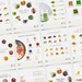 Nutrition Facts Instagram Post Templates: Canva Social Media Pack ...