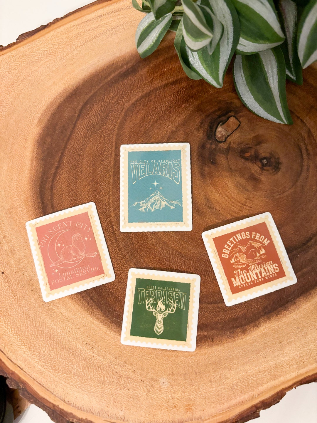 Terrasen TOG Throne of Glass ACOTAR Crescent City Fantasy Sticker ...