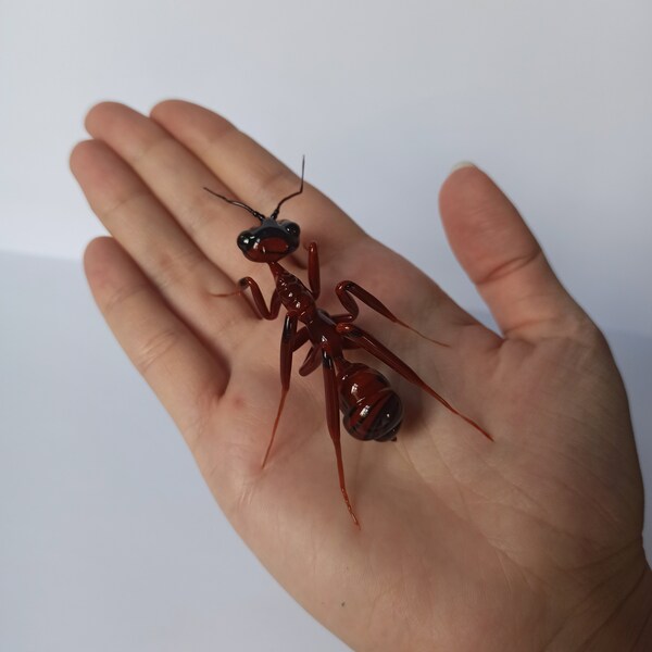 Ant Glass - Etsy