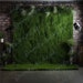 Grass Warehouse Studio Grass Backdrop Wall Digital Backdrop Overlay ...