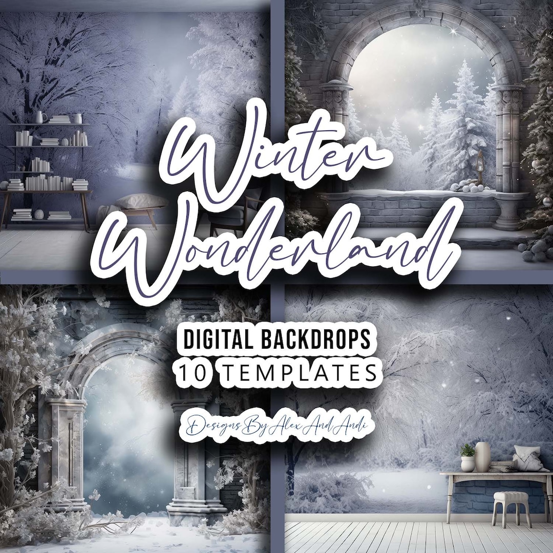 Winter Wonderland Digital Backdrop Overlay Background Wedding Birthday Child Photo Picture ...