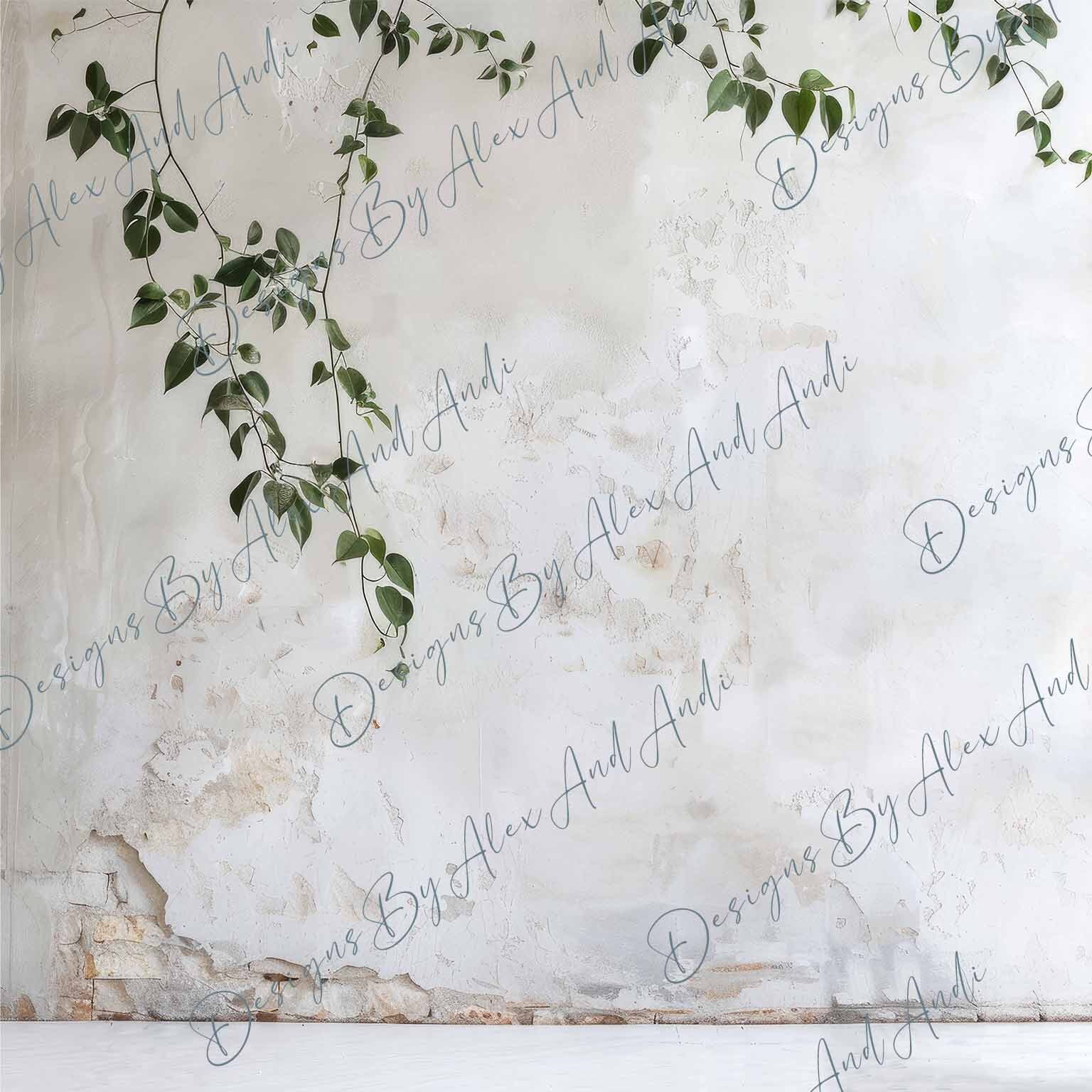 White Wall Back Ground Model Backdrop Photo Shoot Photo Elegant Wedding ...