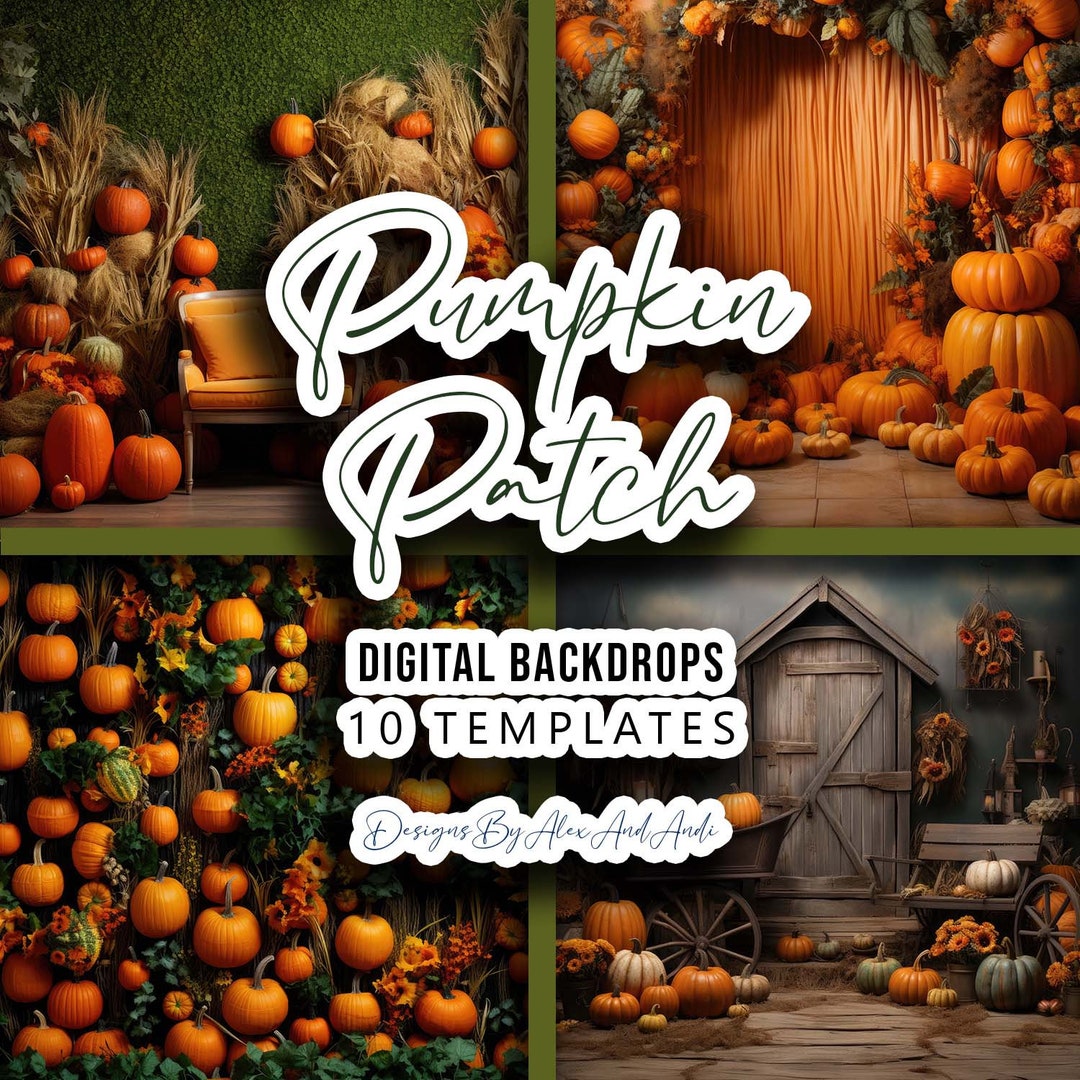 Pumpkin Patch Digital Backdrop Overlay Wedding Sweet 16 Background ...