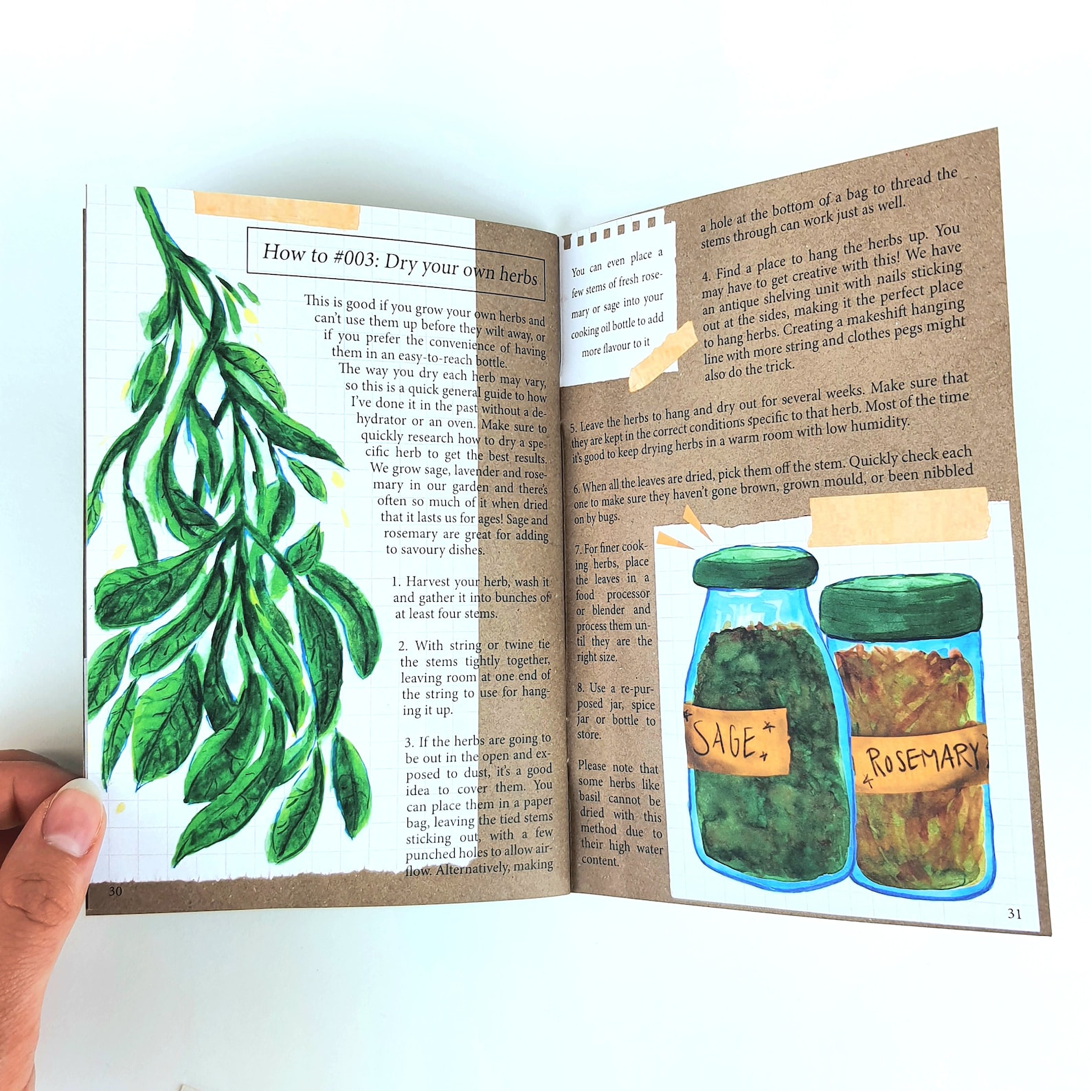 The Green Zeen Issue #1 | Eco Zine - Etsy