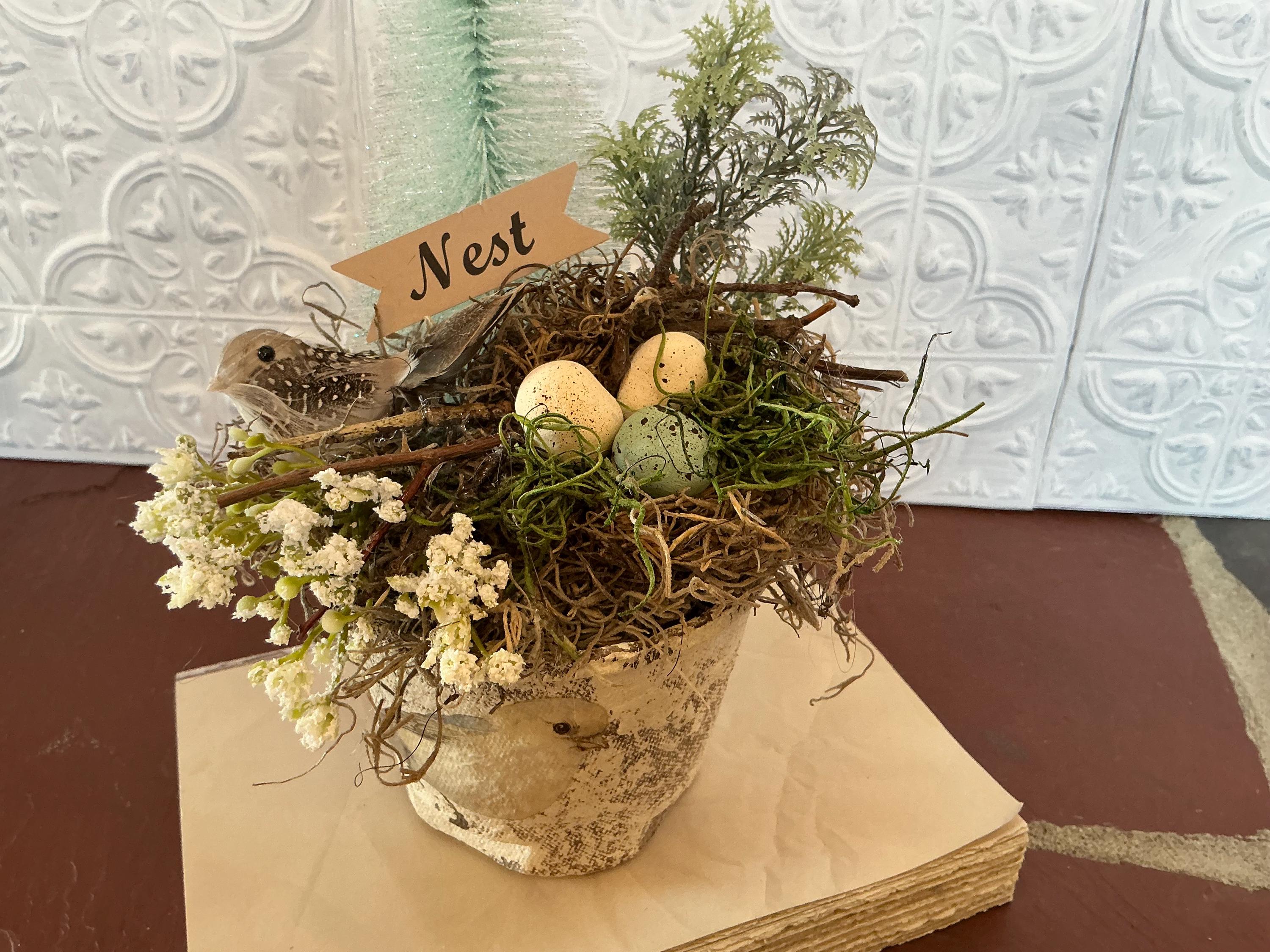Bird Themed Spring Birds Nest Arrangement in Peat Pots Spring Bird Nest ...