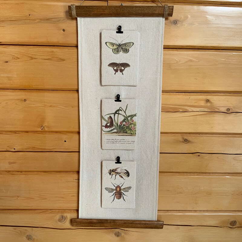Butterfly Scroll - Etsy