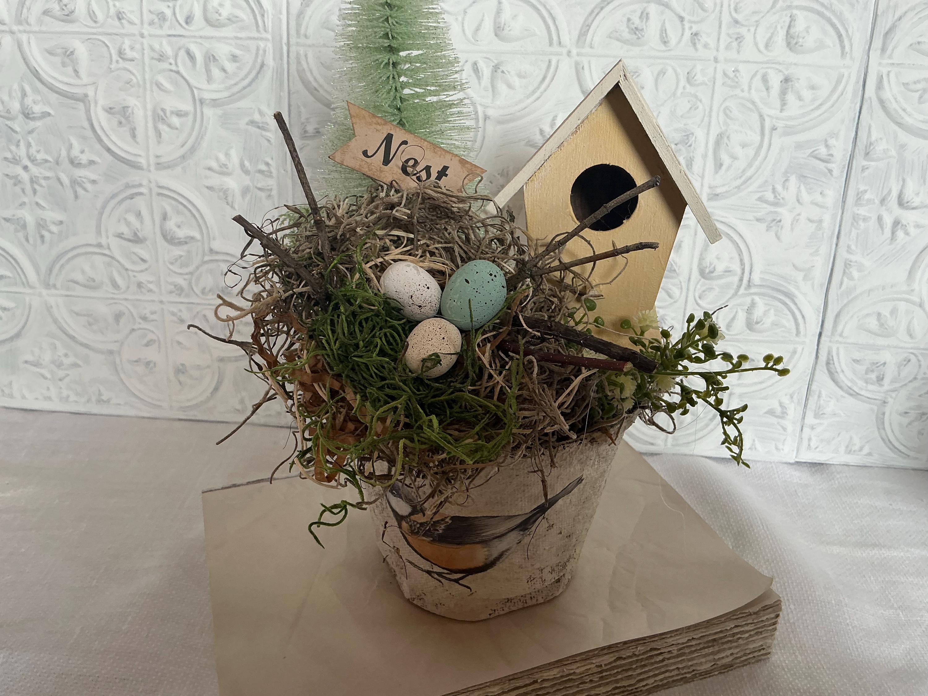 Bird Themed Spring Birds Nest Arrangement in Peat Pots Spring Bird Nest ...