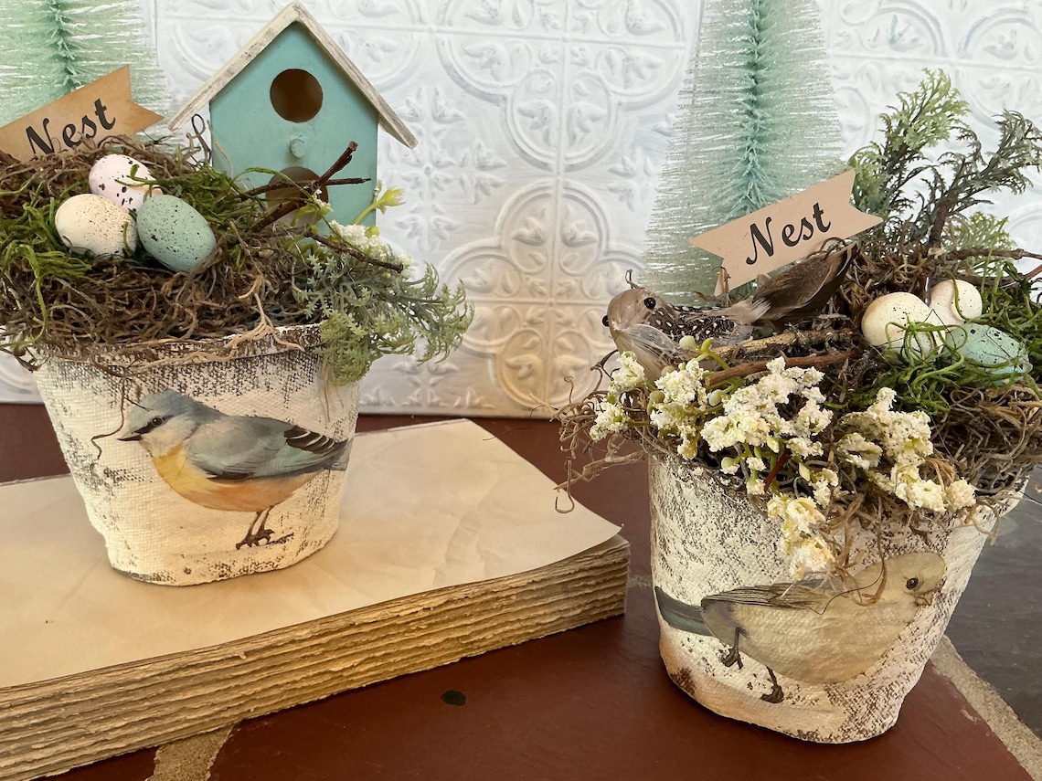Bird Themed Spring Birds Nest Arrangement in Peat Pots Spring Bird Nest ...
