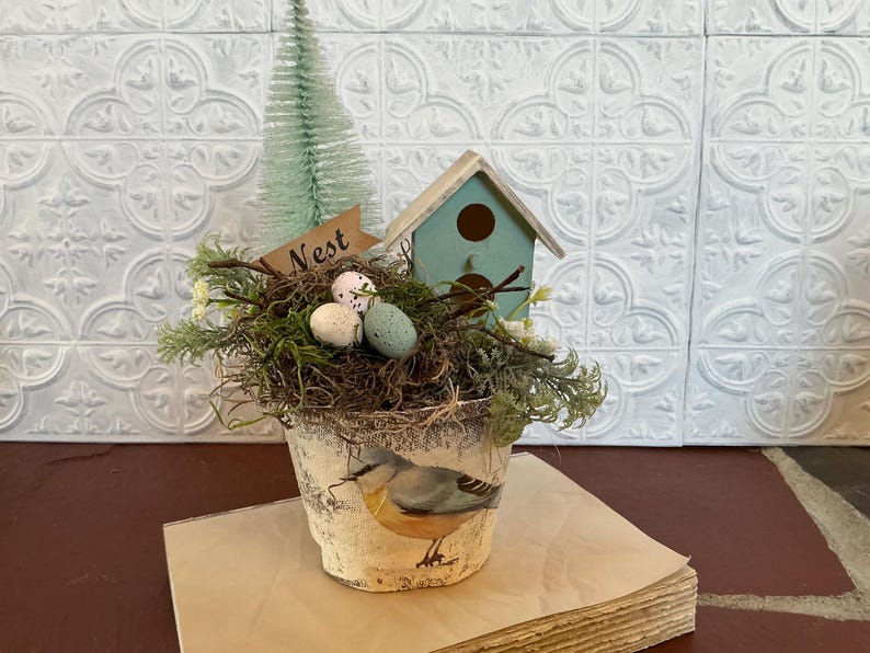 Bird Themed Spring Birds Nest Arrangement in Peat Pots Spring Bird Nest ...