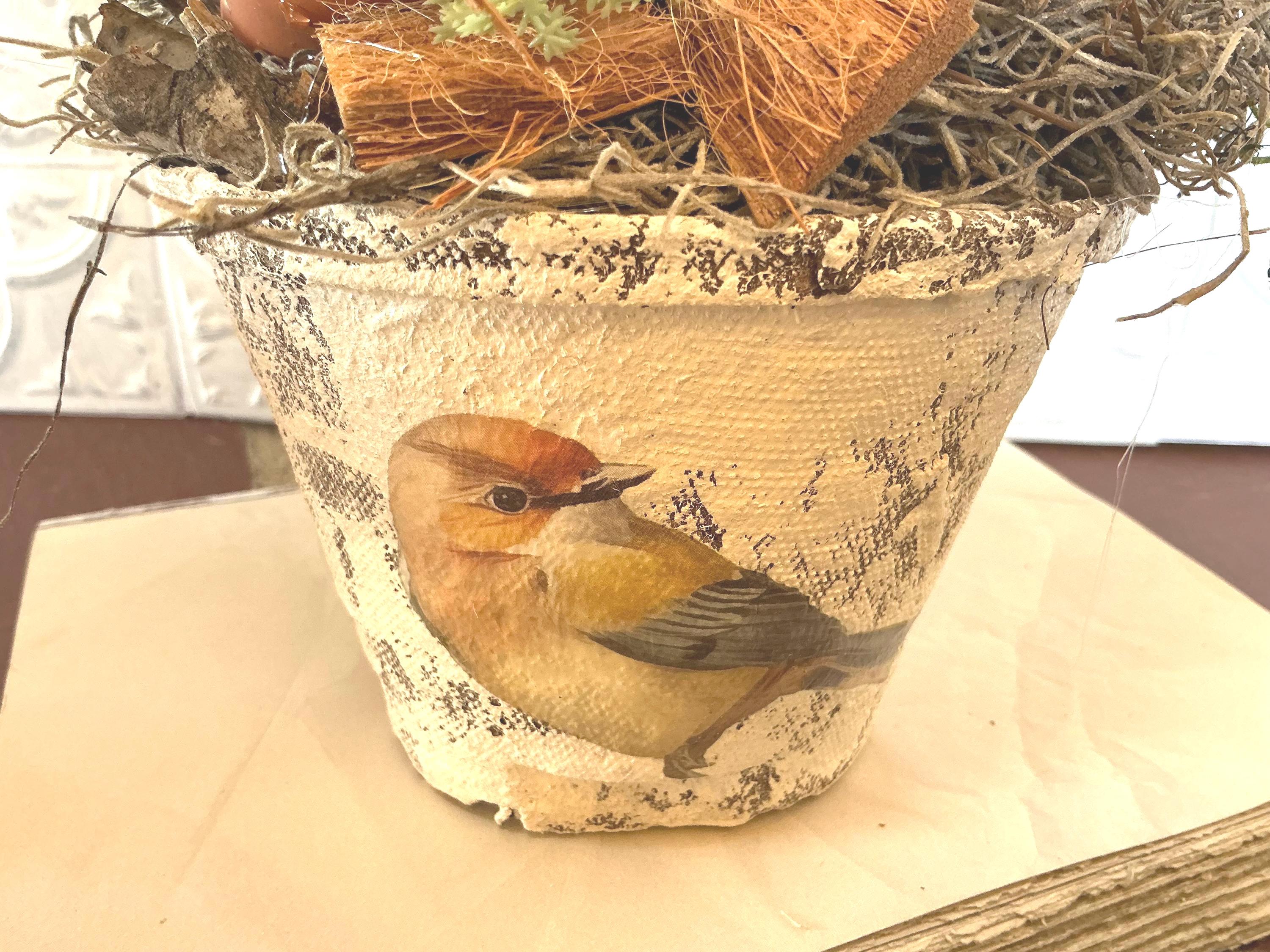 Bird Themed Spring Birds Nest Arrangement in Peat Pots Spring Bird Nest ...