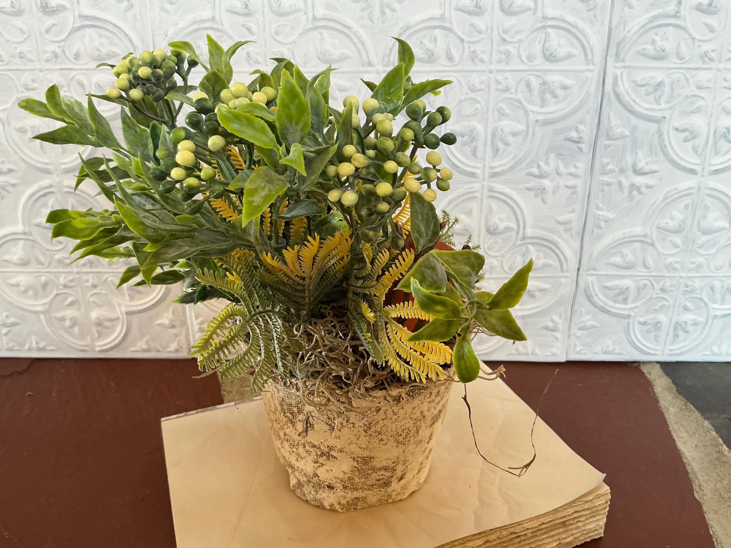 Bird Themed Spring Birds Nest Arrangement in Peat Pots Spring Bird Nest ...