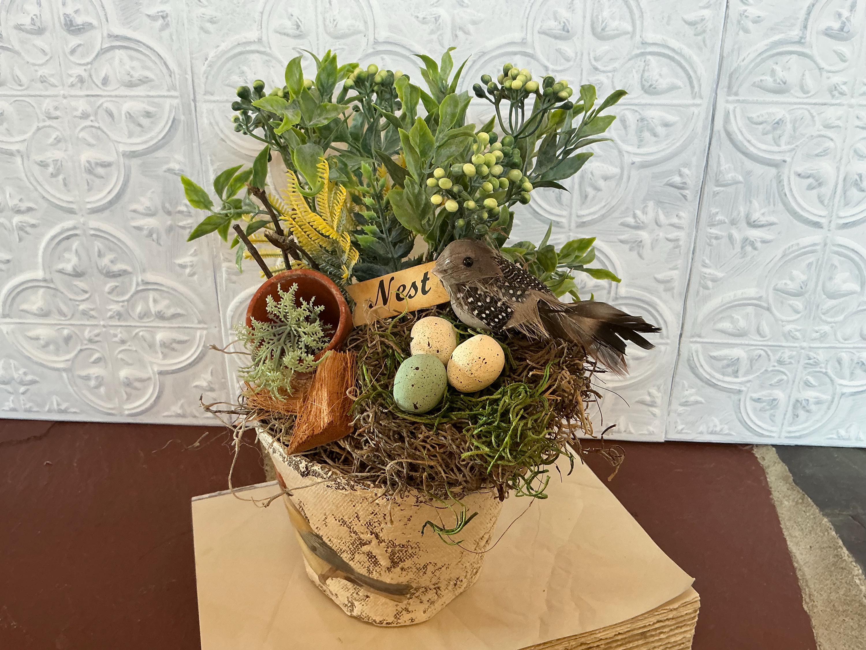 Bird Themed Spring Birds Nest Arrangement in Peat Pots Spring Bird Nest ...