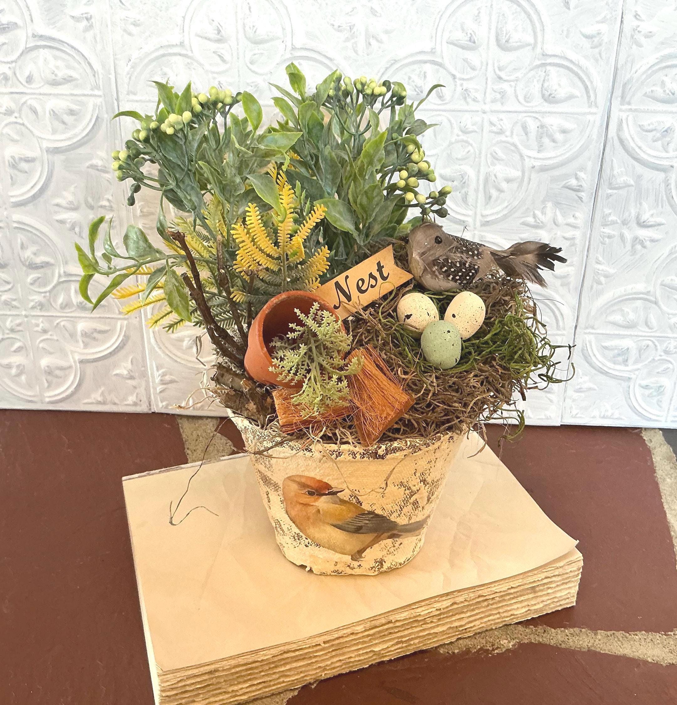 Bird Themed Spring Birds Nest Arrangement in Peat Pots Spring Bird Nest ...