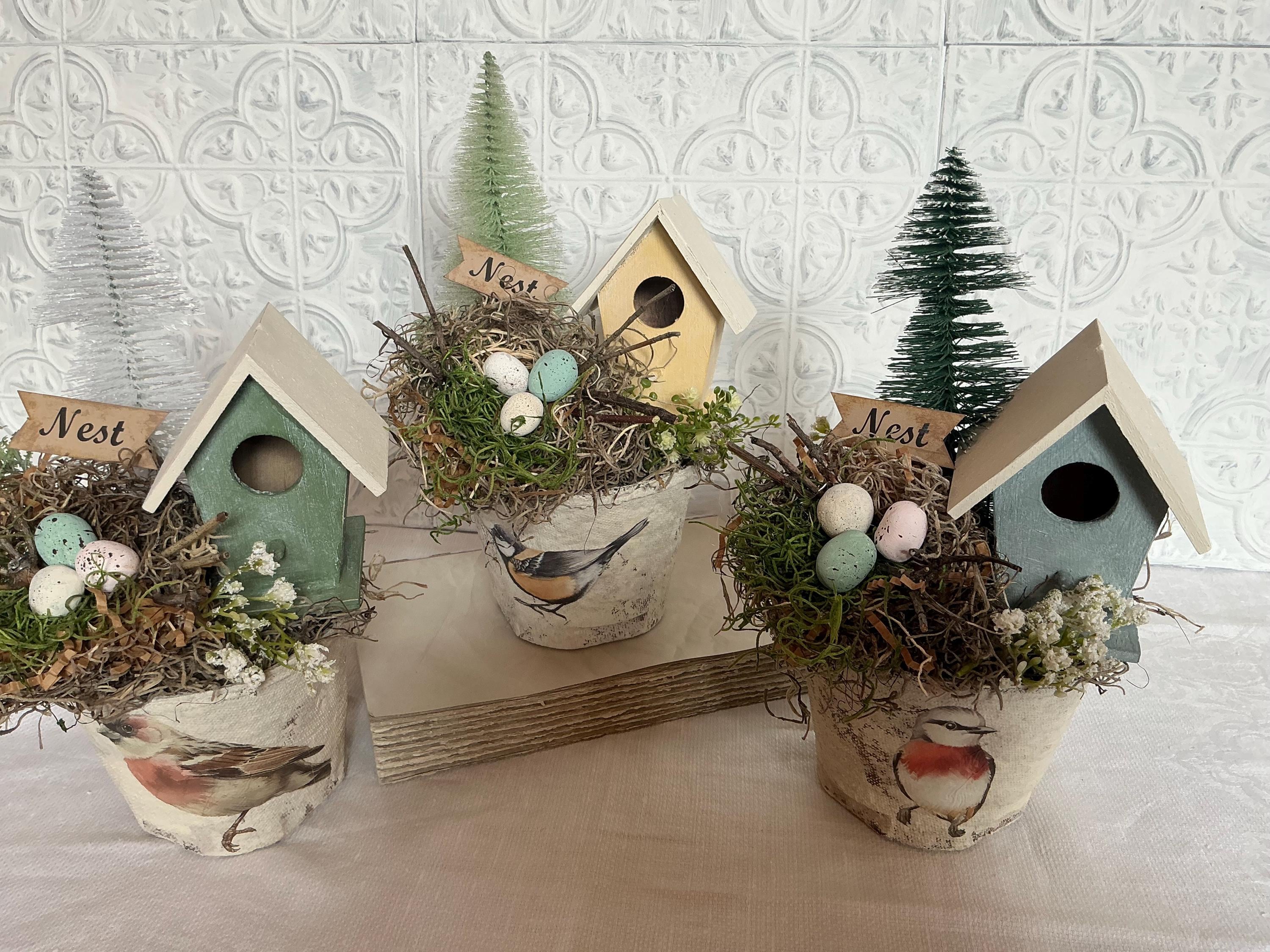 Bird Themed Spring Birds Nest Arrangement in Peat Pots Spring Bird Nest ...